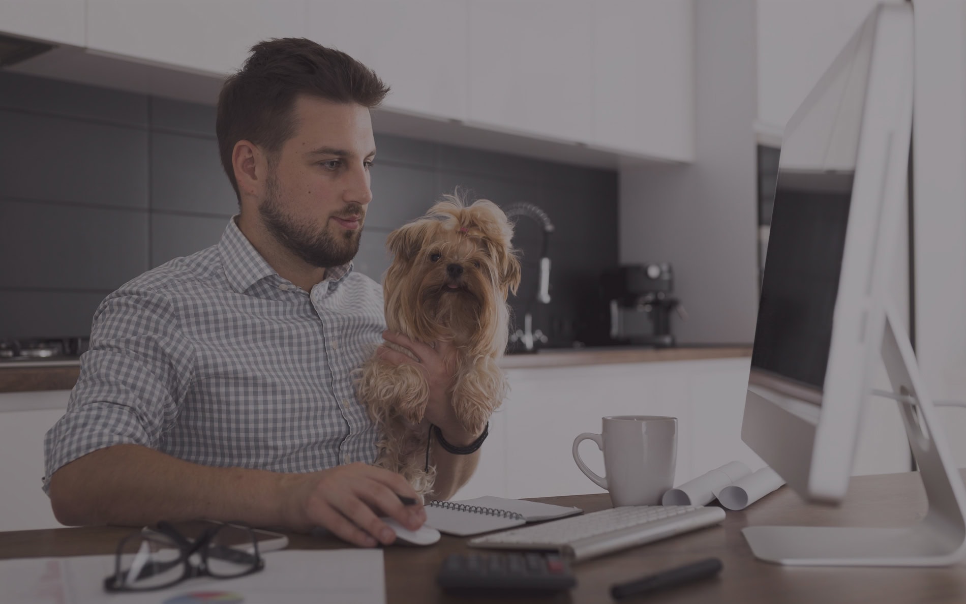 TeleVet | Expert Veterinary Care, From Home